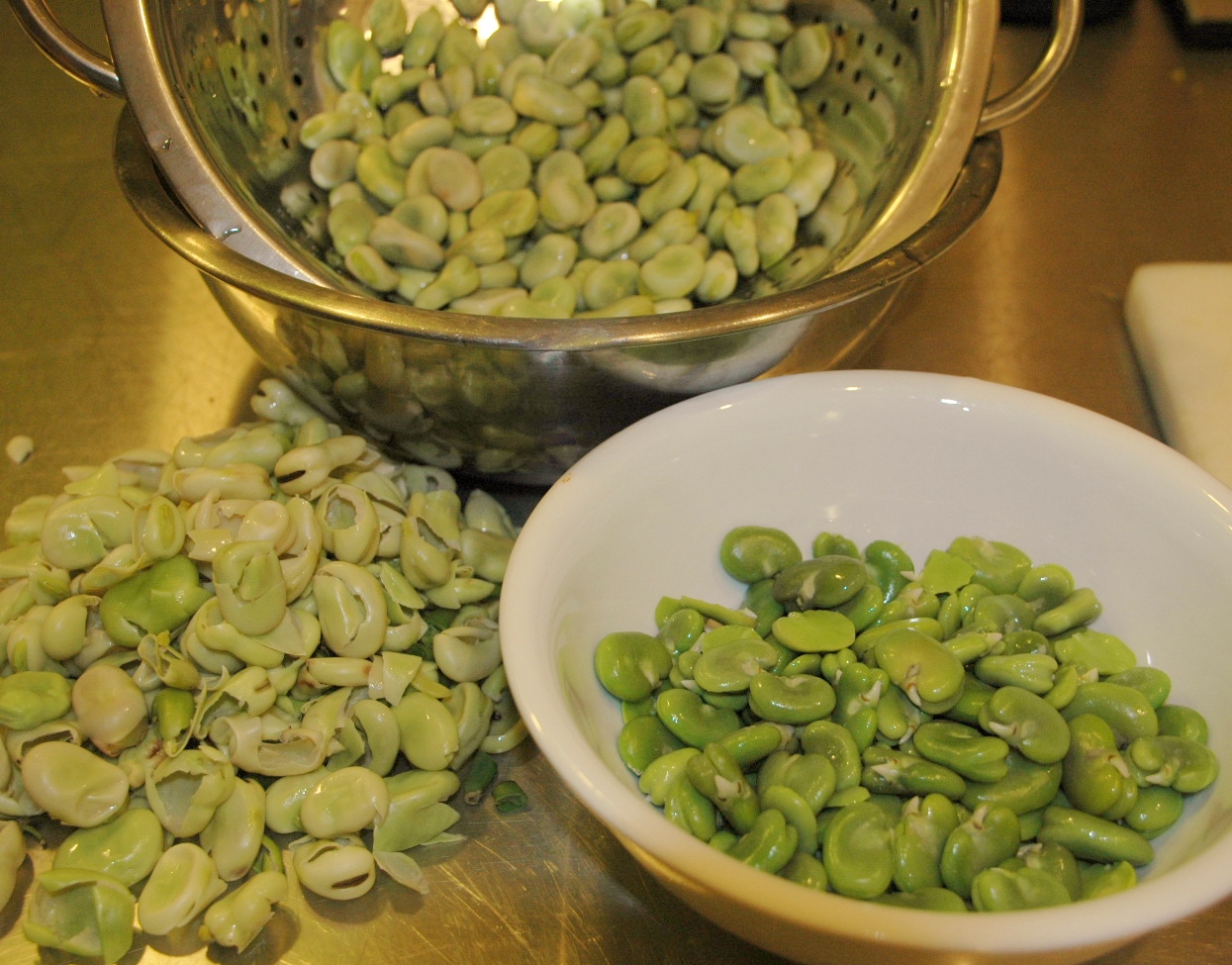 Broad Beans 3 Ways | Healthy Home Cafe