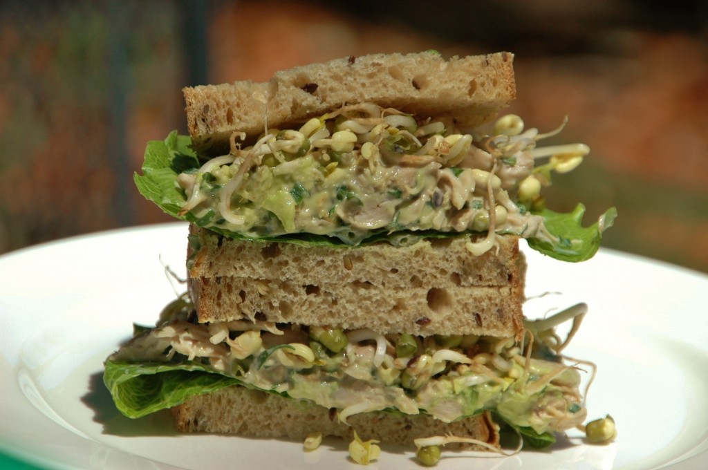 The Ultimate Chicken and Avocado Sandwich | Healthy Home Cafe